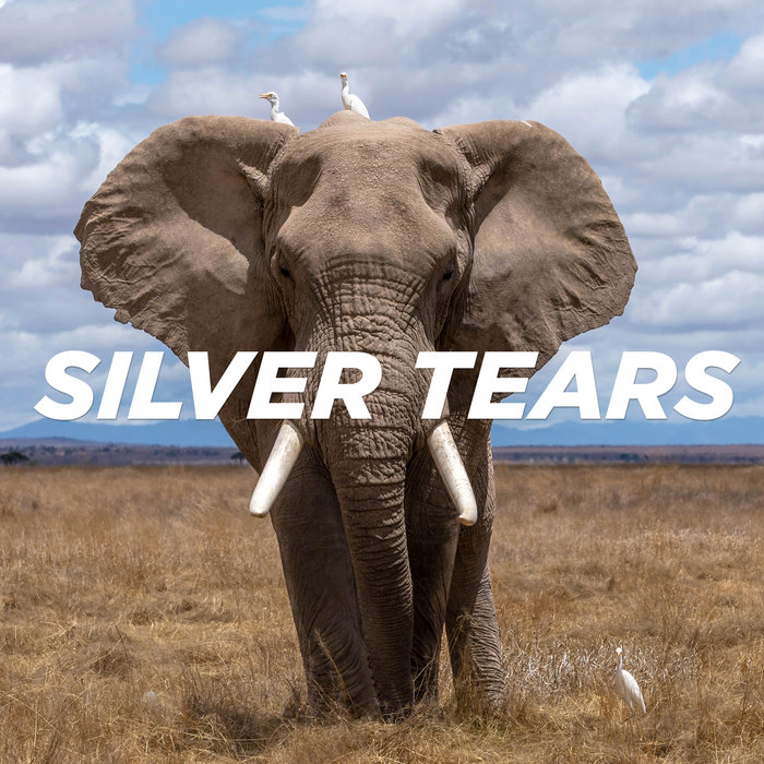 Silver Tears | Pale Blue