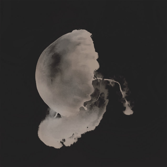 Otherworldly Pictures | Animal Scream