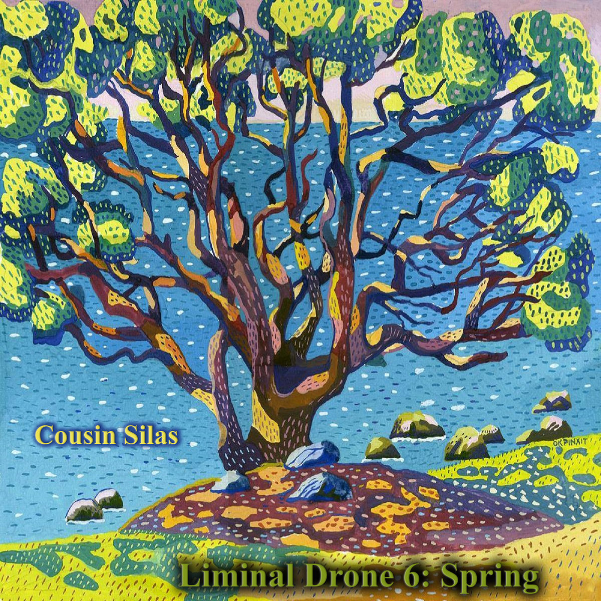Liminal Drone 6 (Spring) | Cousin Silas