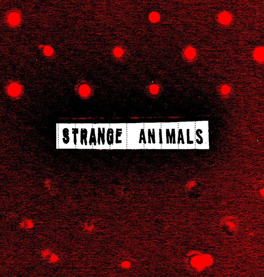 Strange Animals EP | Strange Animals