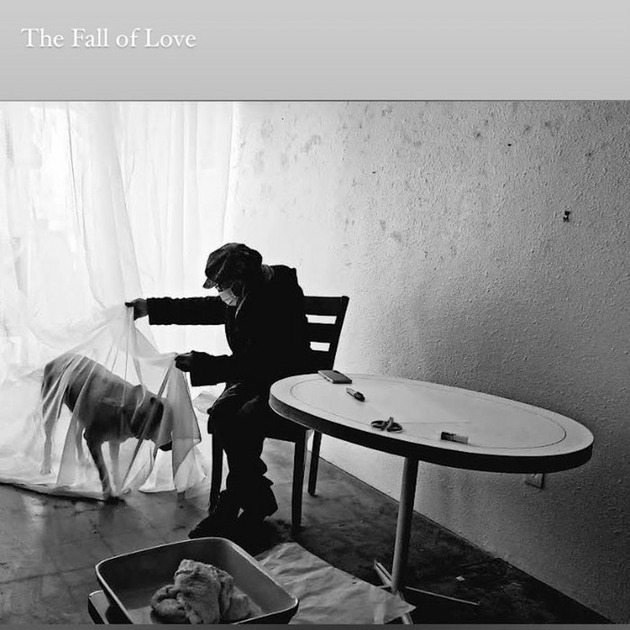 The Fall of Love | Teddy Quinn