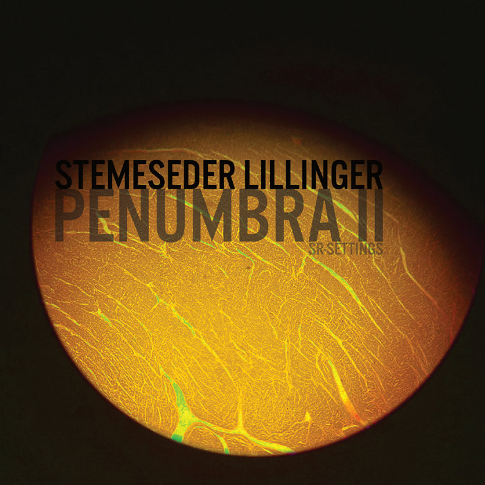 PENUMBRA II | STEMESEDER LILLINGER | PLAIST - MUSIC