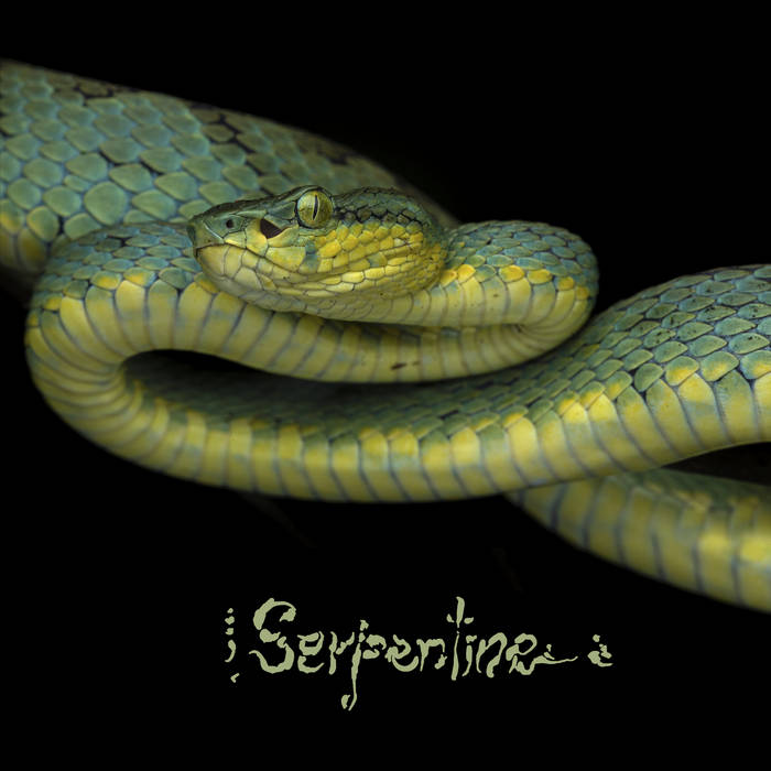 Serpentine Snake People
