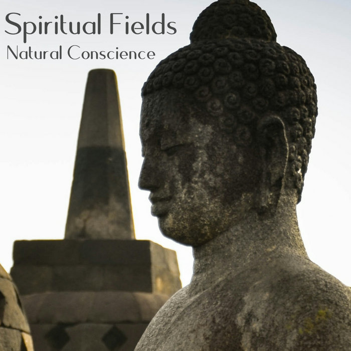 Natural Conscience | Spiritual Fields | Natural Life Essence [ Liquid ...