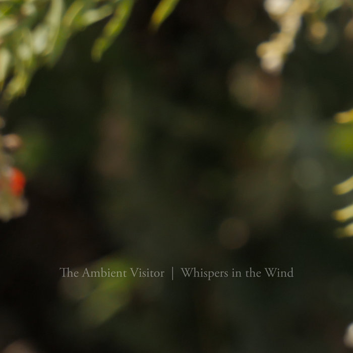 Whispers in the Wind | The Ambient Visitor
