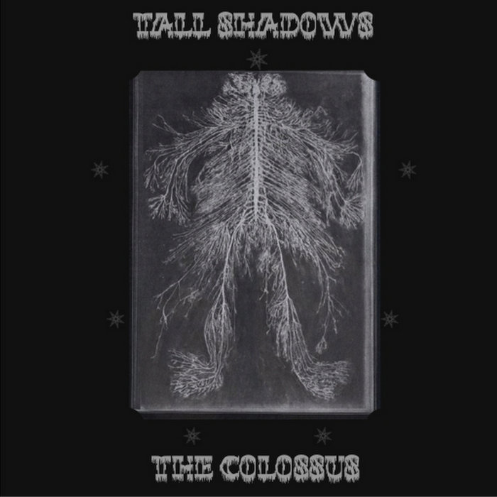 The Colossus | Tall Shadows