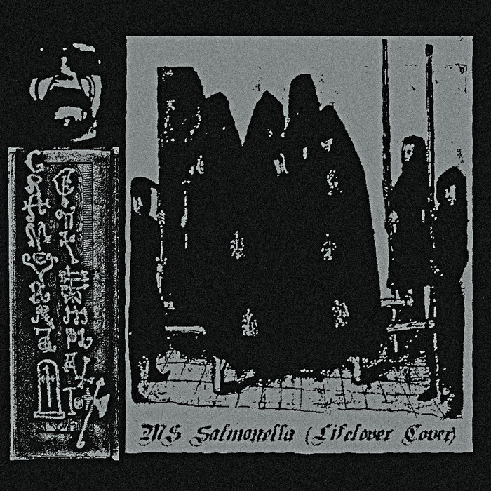 MS Salmonella (Lifelover Cover) | Graveyard Contemplation | Mors the ...