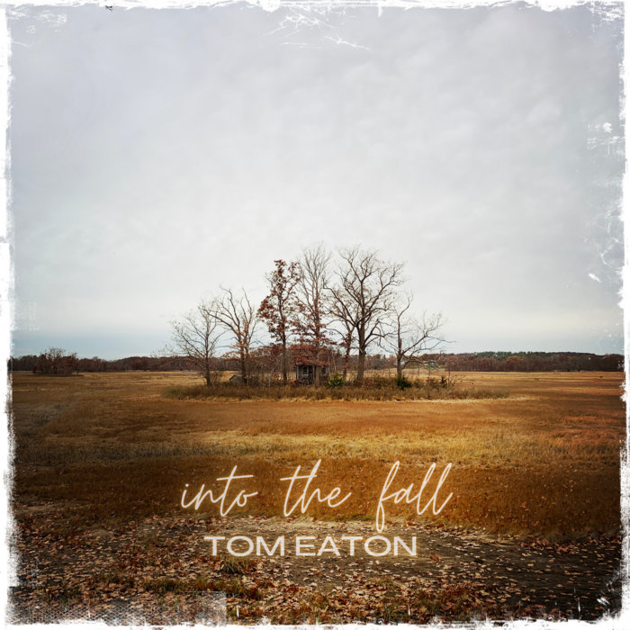 into the fall | tom eaton