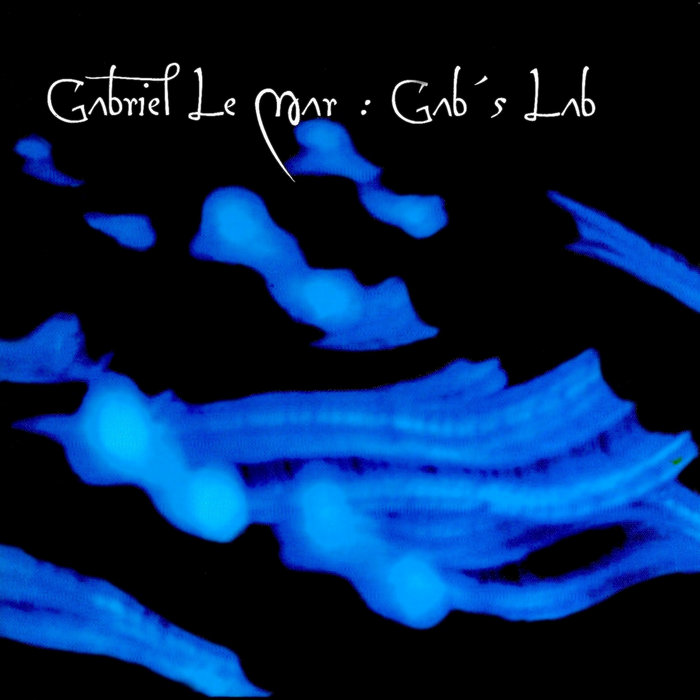 Gab's Lab | Gabriel Le Mar