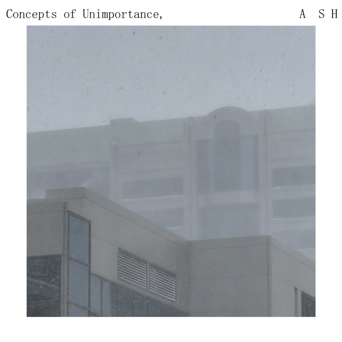 Concepts of Unimportance | ASH