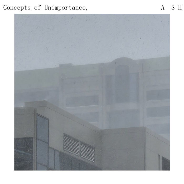 Concepts of Unimportance | ASH