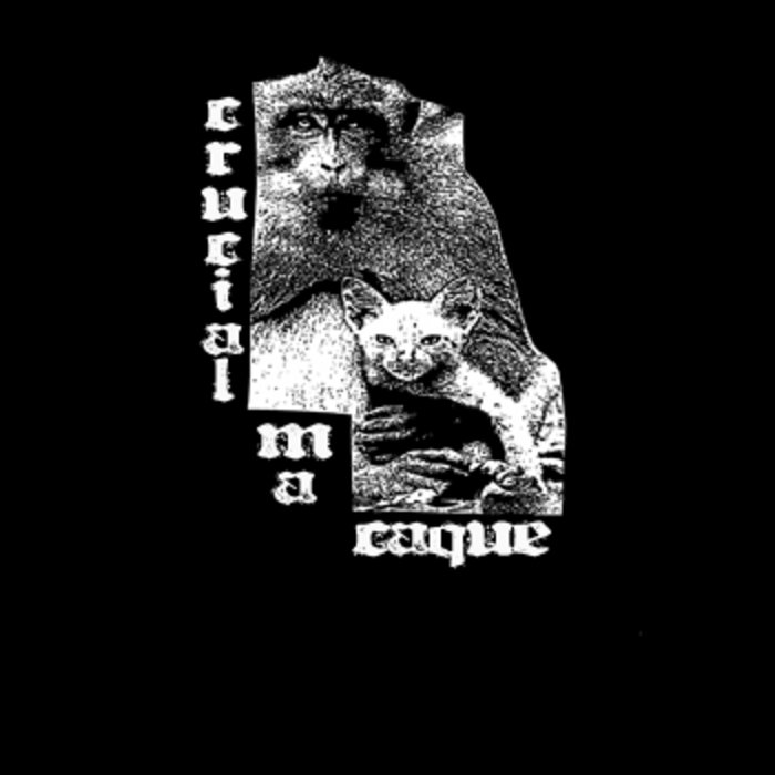 Crucial Macaque | Crucial Macabre | Prime Eggsample