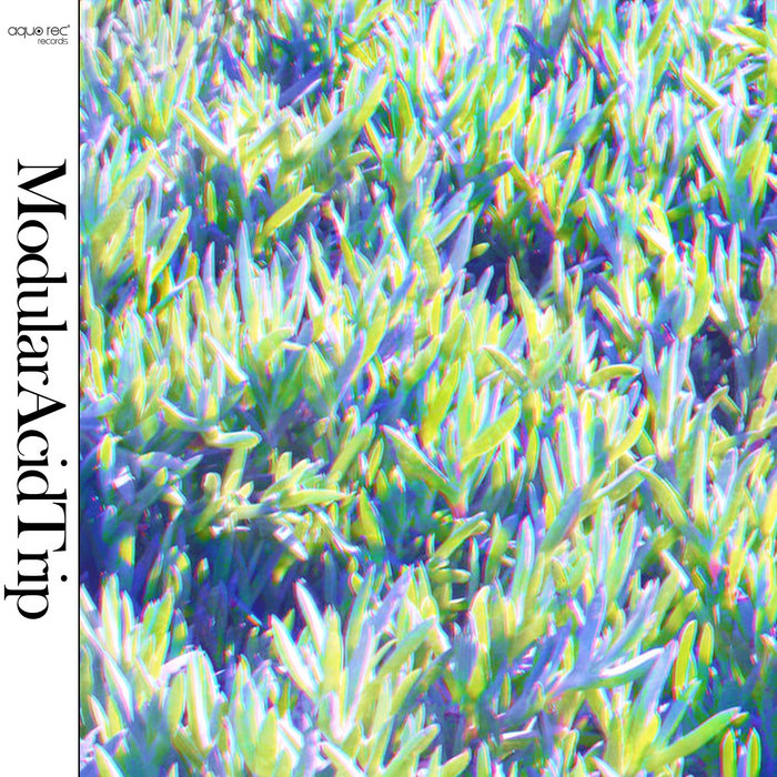 ModularAcidTrip | MODULAR ACID TRIP | Aquo Rec Records