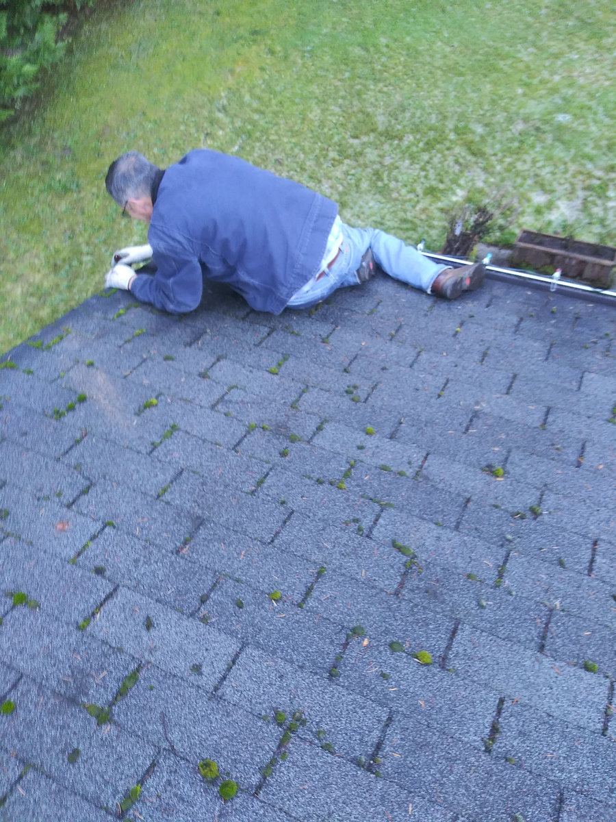 Right Foot Sleep, Left Foot Creep | Manic Station