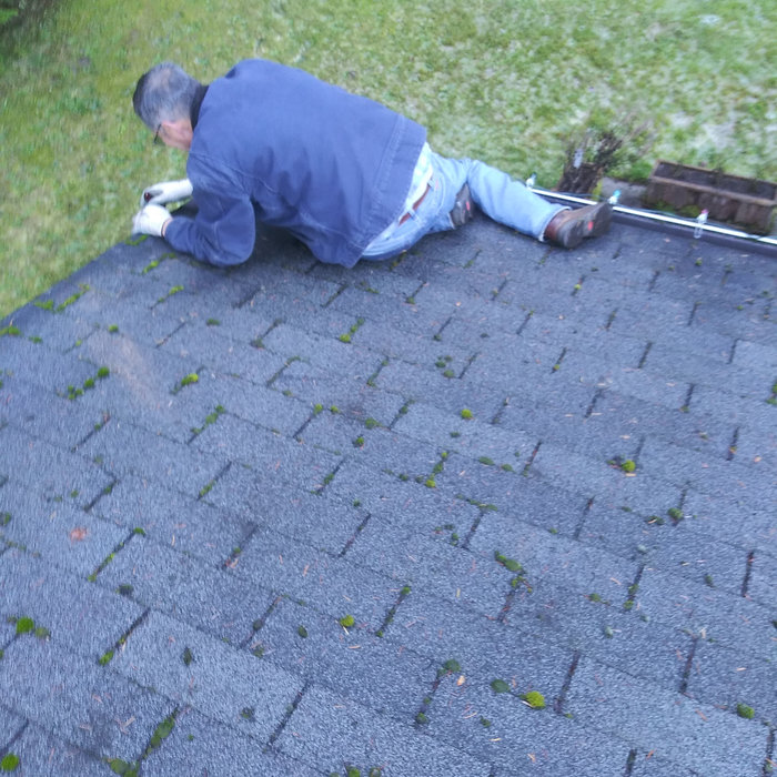 Right Foot Sleep, Left Foot Creep | Manic Station