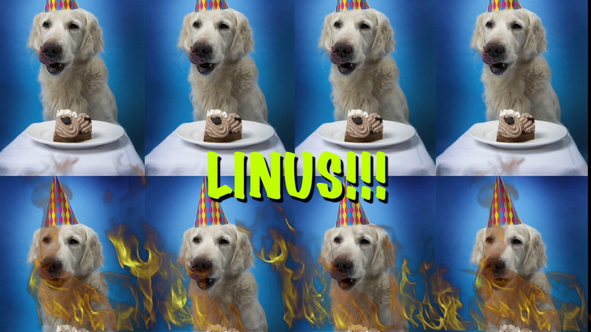 HAPPY BIRTHDAY LINUS! | Epic Happy Birthdays