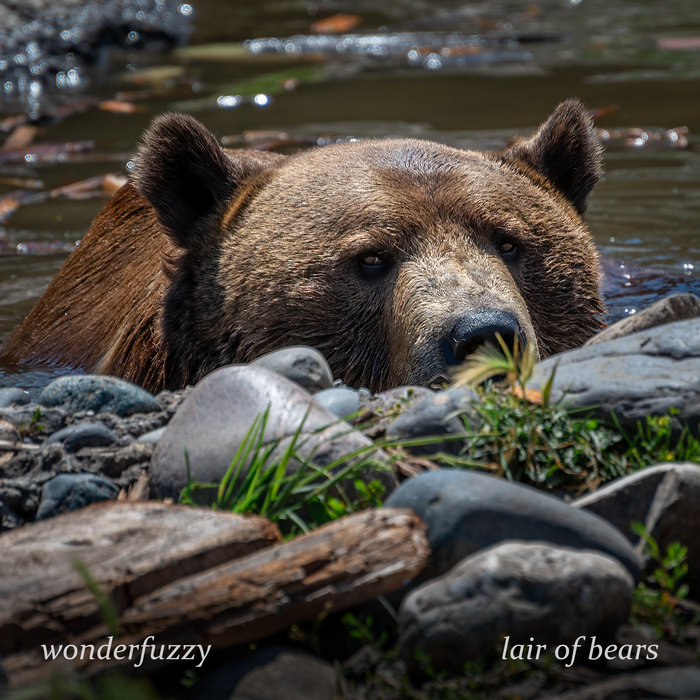 Lair of Bears | Wonderfuzzy