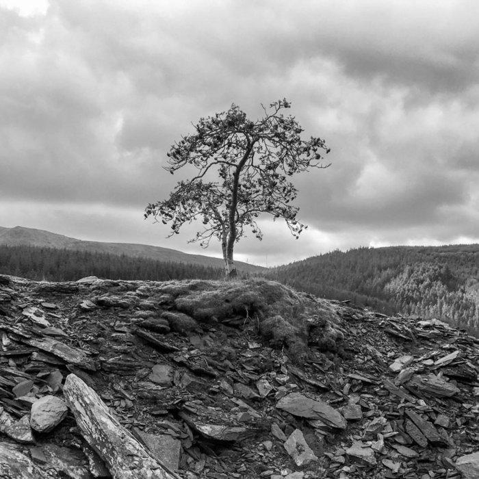 Open Space | Cousin Silas & Kevin Buckland | Cousin Silas