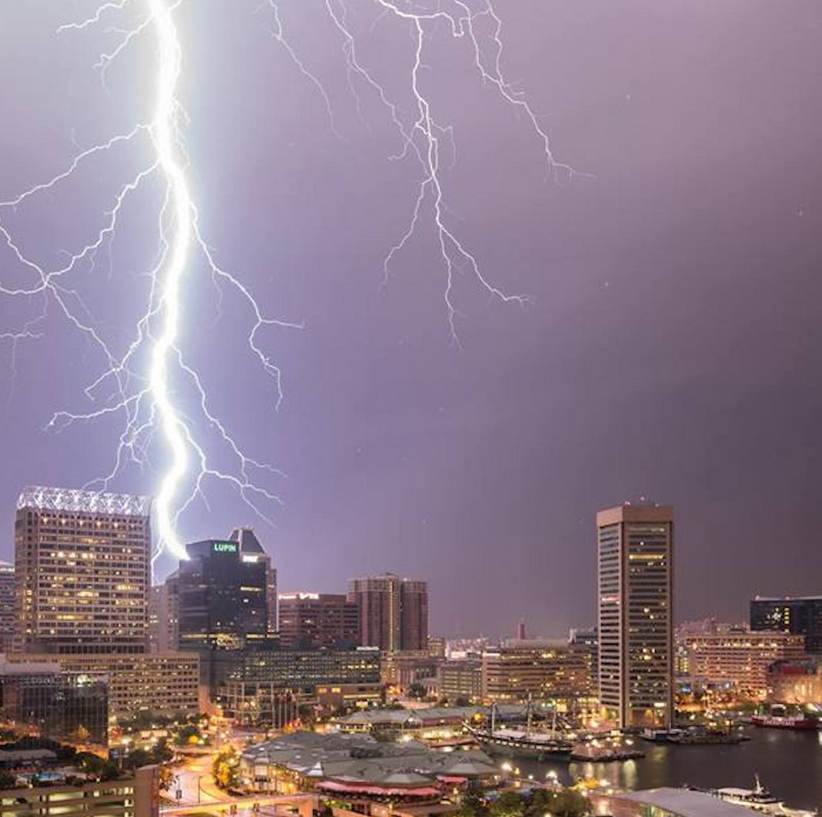 The Electric Stage Hogs | The Electric Stage Hogs