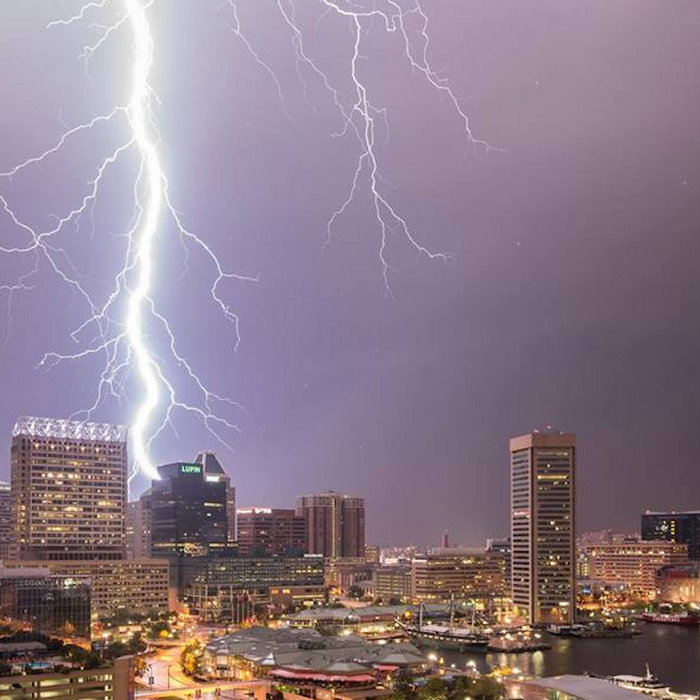 The Electric Stage Hogs | The Electric Stage Hogs