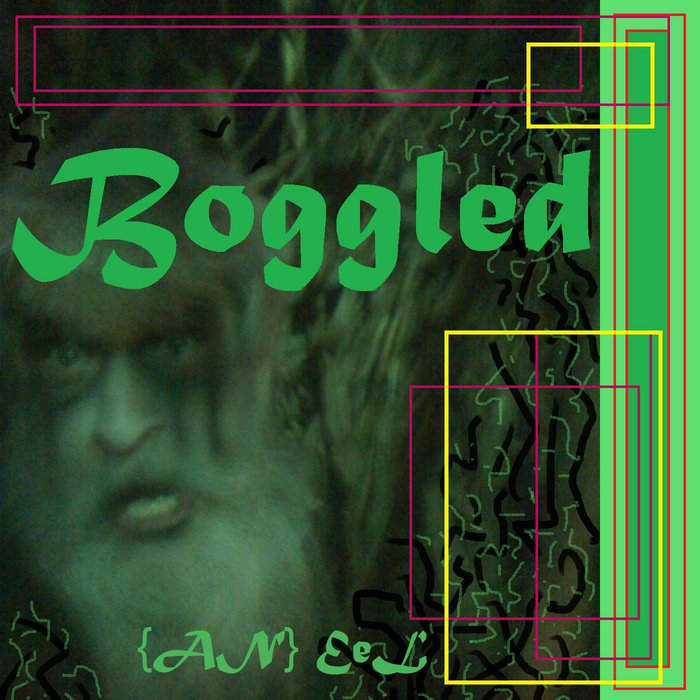 Boggled | {AN} EeL | {AN} Eel