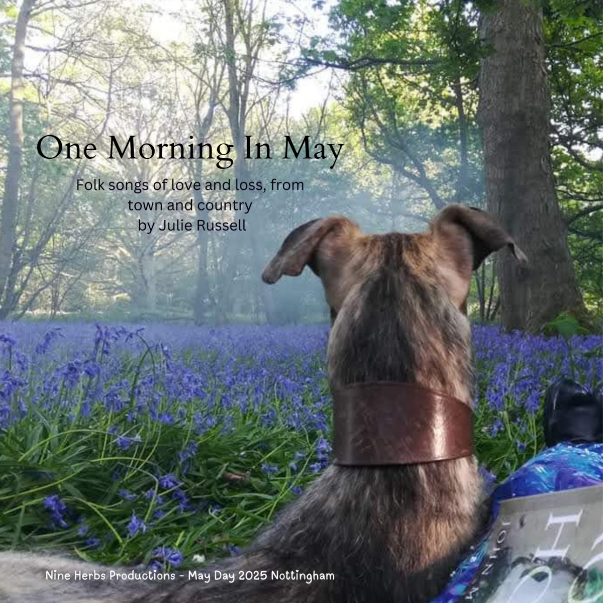 One Morning In May | Julie Russell