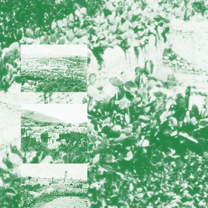 Witness | Connor D'Netto