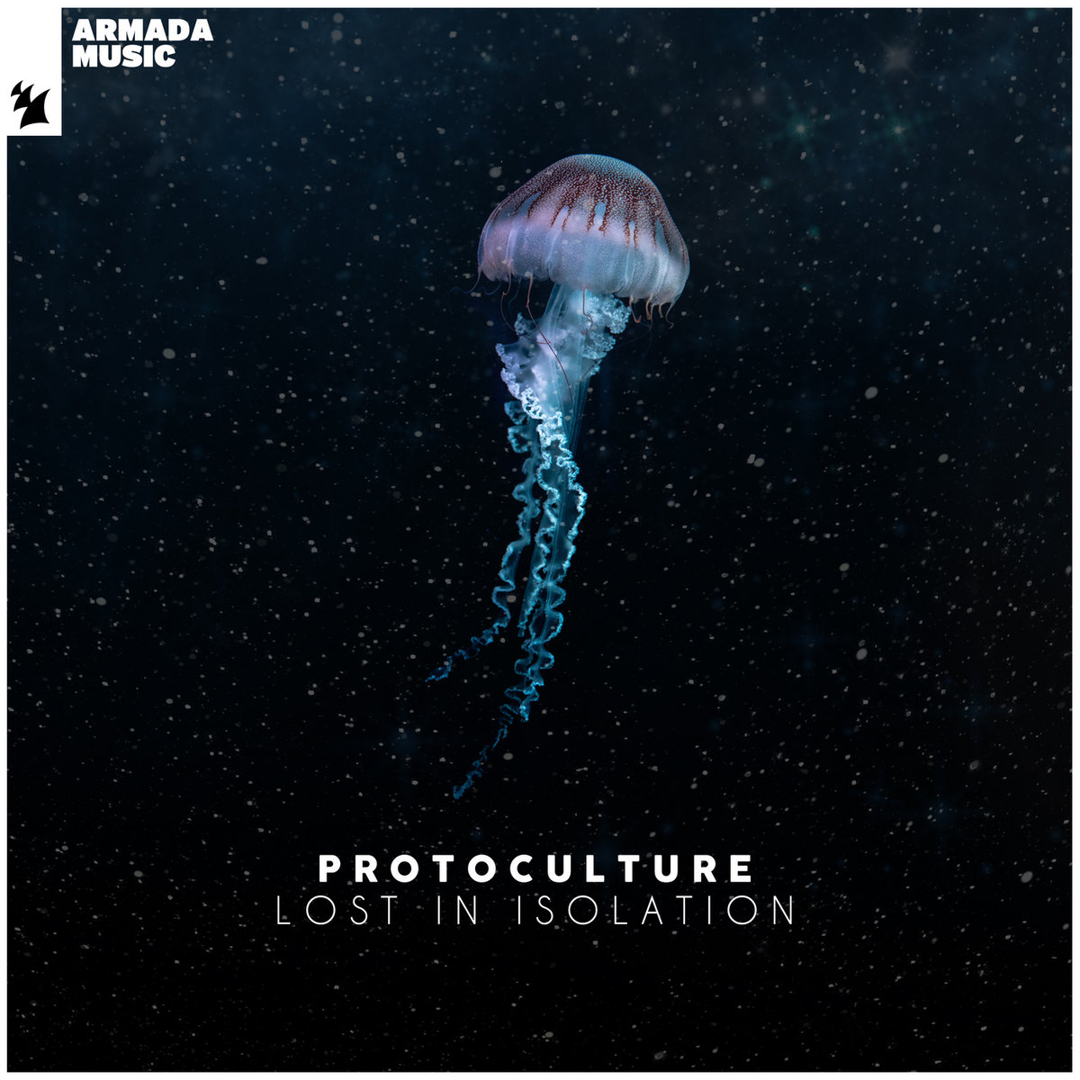 Lost In Isolation | Protoculture