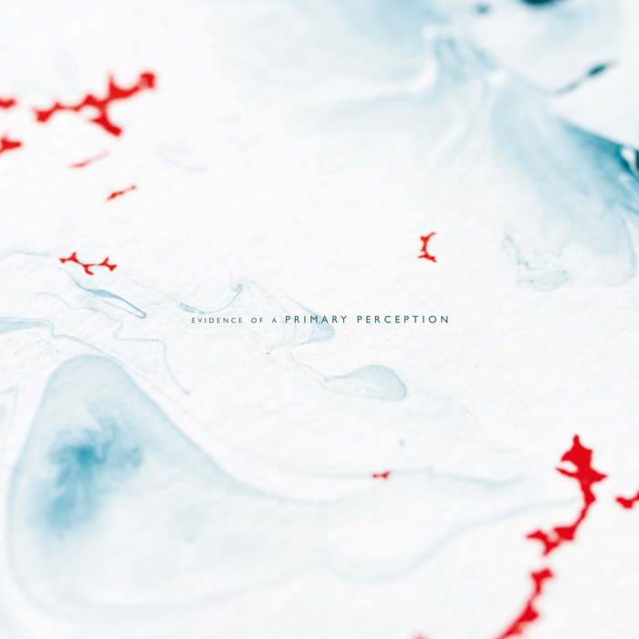 Evidence of a Primary Perception | Primary Perception | SLOW LIFE