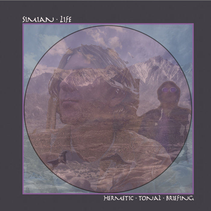 Hermetic Tonal Briefing | Simian Life