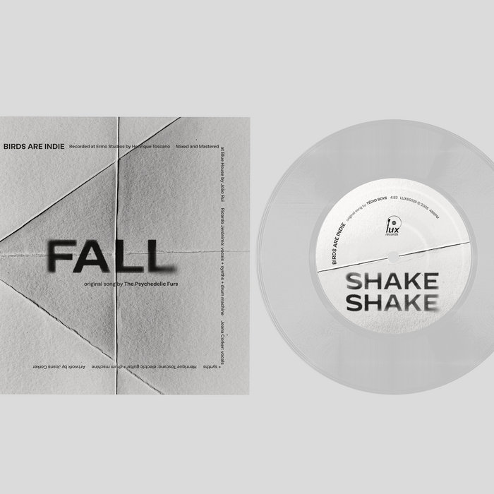 Fall / Shake Shake | Birds Are Indie