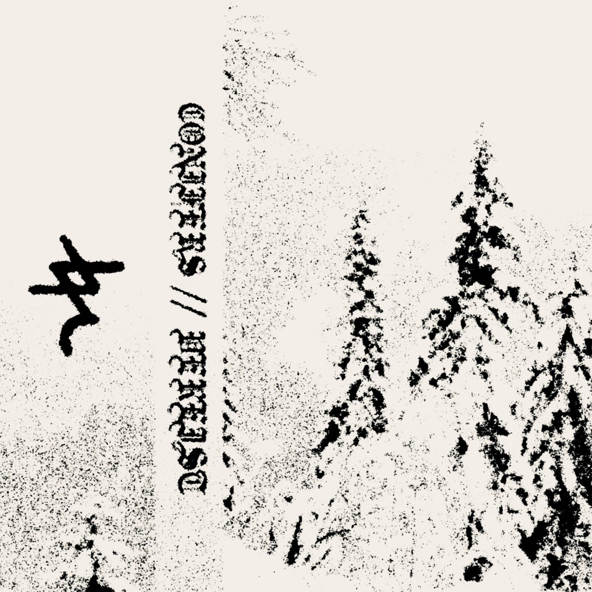 Conifers // Vereist — Enshrouded by majestic snow | Conifers & Vereist ...