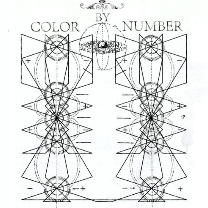Color by Number Vol. 1 | Color By Number