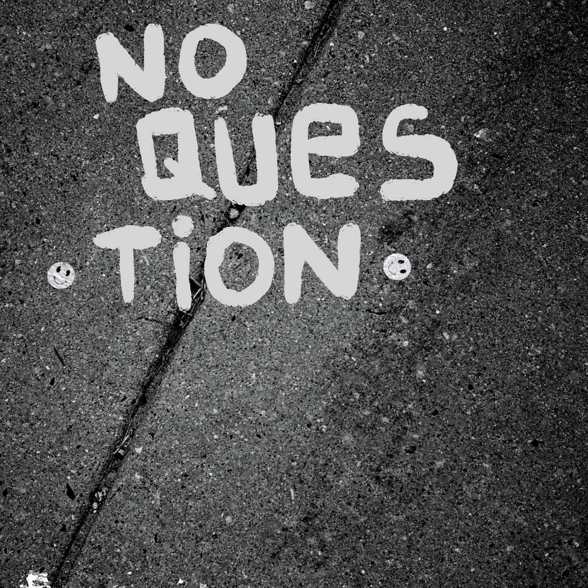 No Question EP | No Question | Night Animal Records