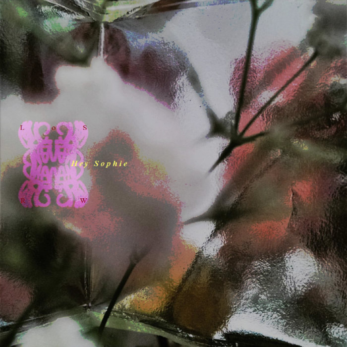 HEY SOPHIE | The Land of Swift Running Water