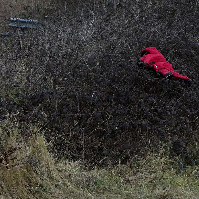 A Storm and its Aftermath | David Donohoe and Kate Carr | Kate Carr