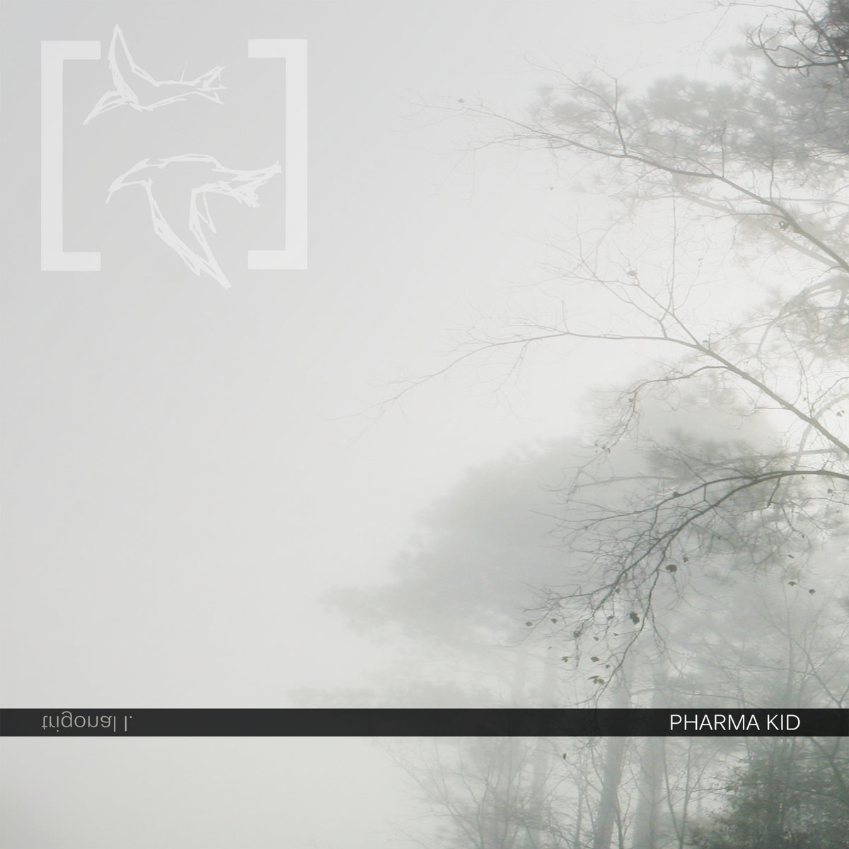 Pharma Kid - Katze | Pharma Kid