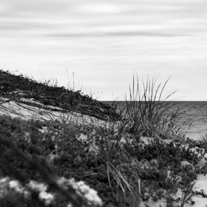 Sixteen Hours | Polylith