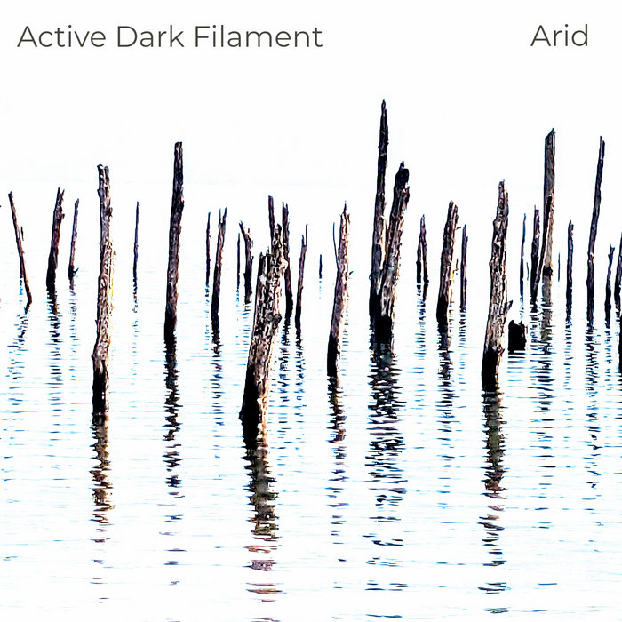 EP - Arid | Active Dark Filament