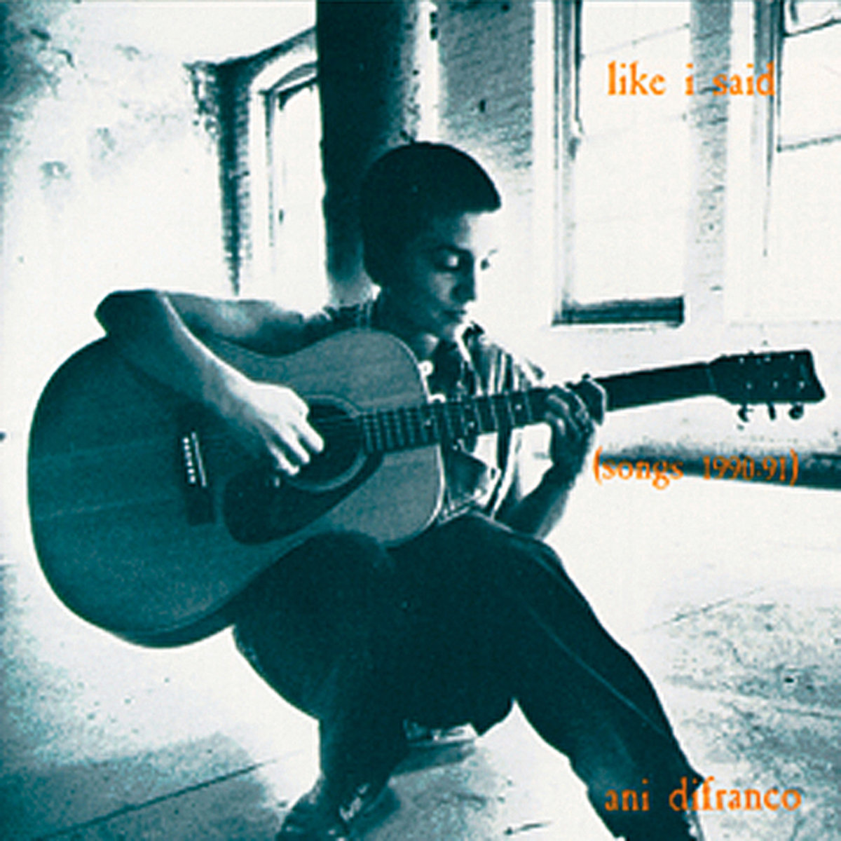 Ani Difranco Recent