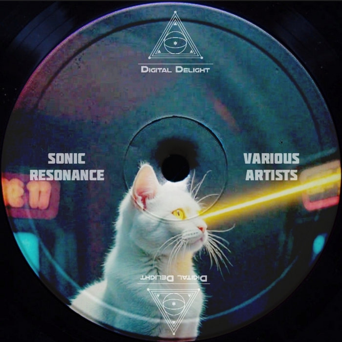 Sonic Resonance | Various Artists | Digital/Physical Delight Records ...