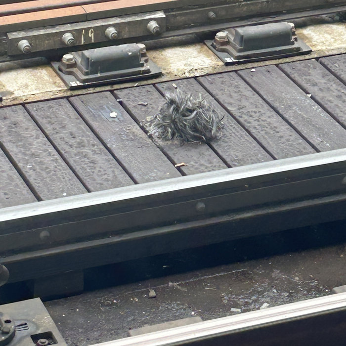 Steepled Spine I | Steepled Spine