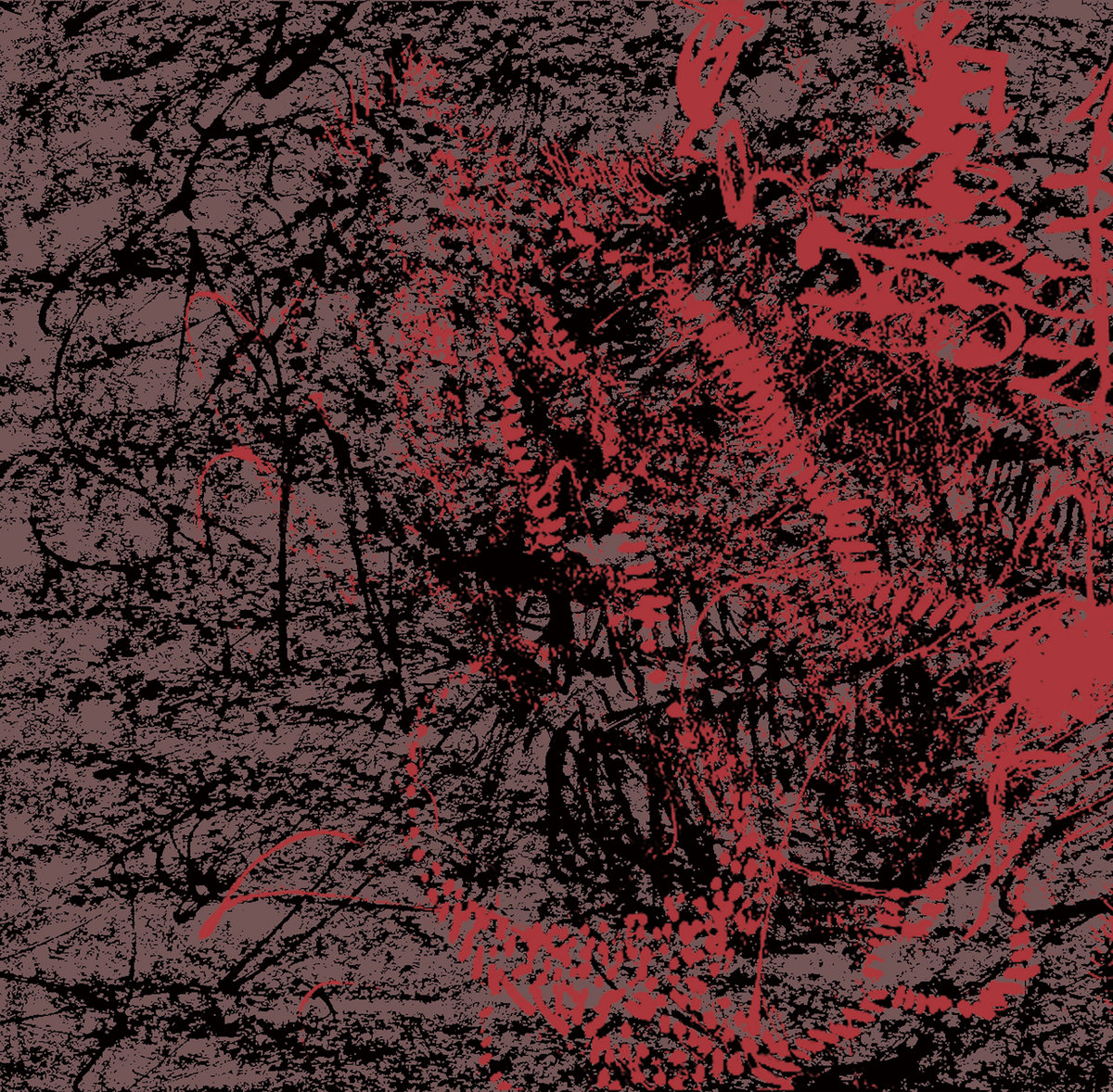 Staple Gun Surgery | Aaron Dilloway | 尾巴尼亚 TAILNIA