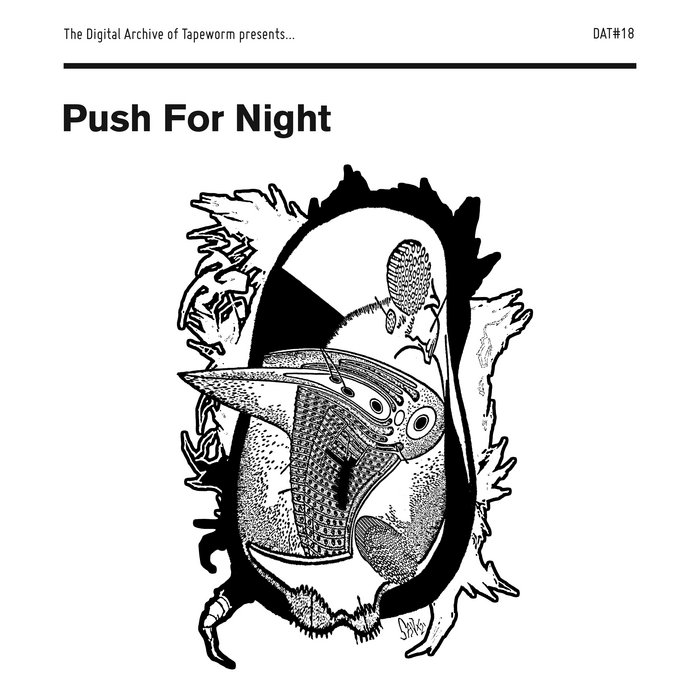Push For Night | Push For Night | The Digital Archive of Tapeworm