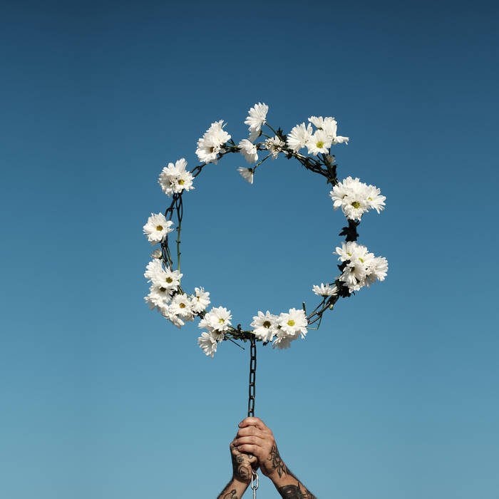 Transparent Tumblr Daisy Chain
