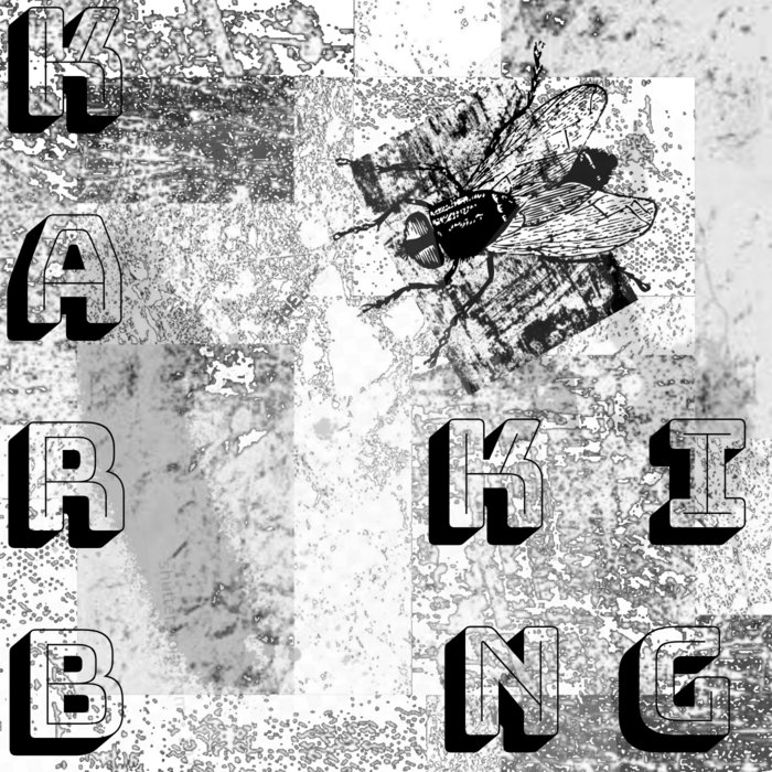 s/t | Karb King