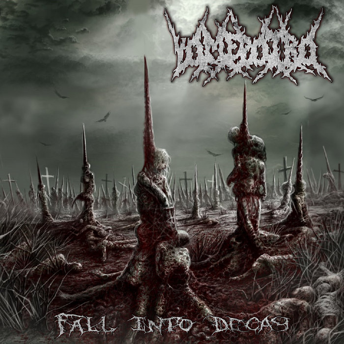 Fall Into Decay | Vomepotro