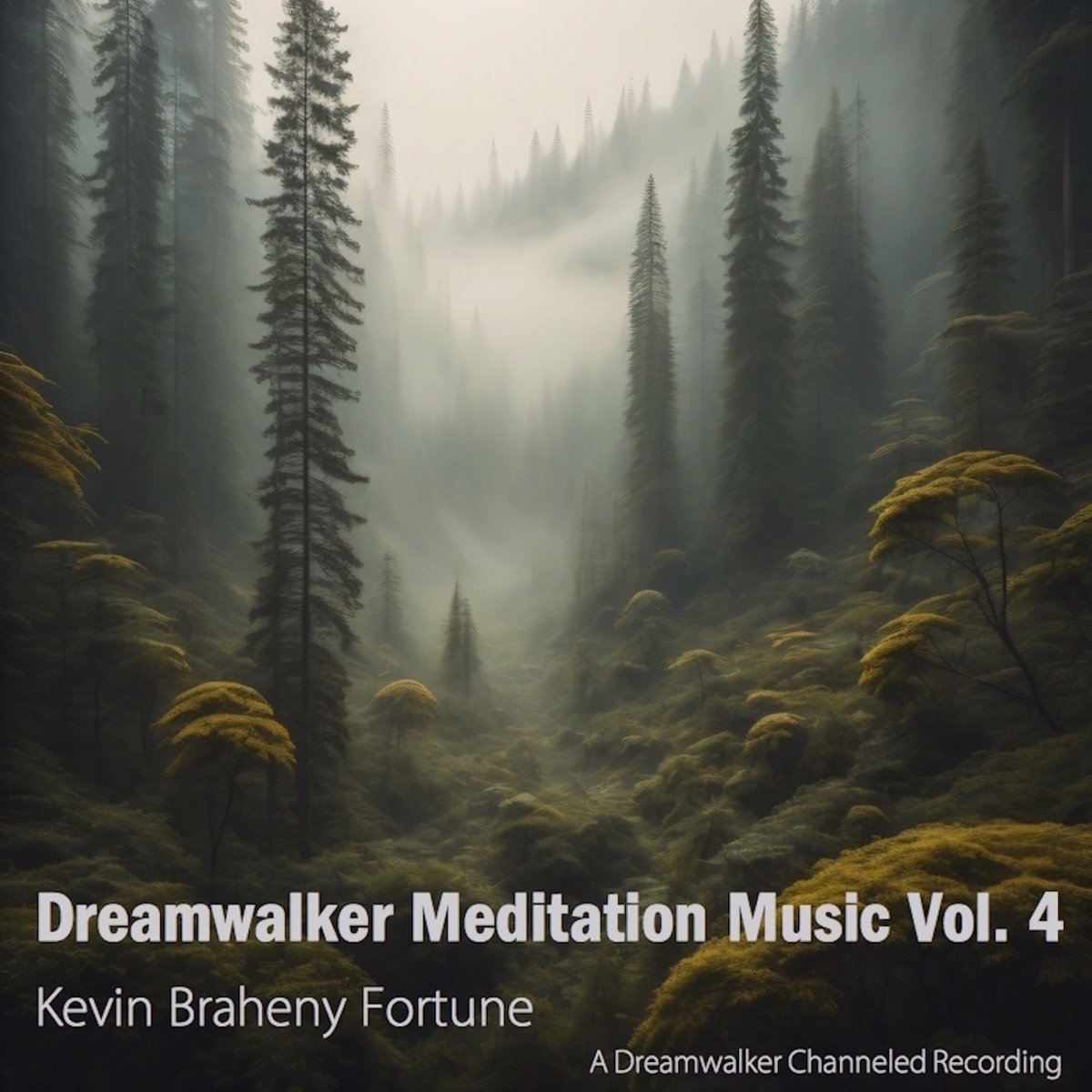 Dreamwalker Meditation Music Vol. 4 | Kevin Braheny Fortune
