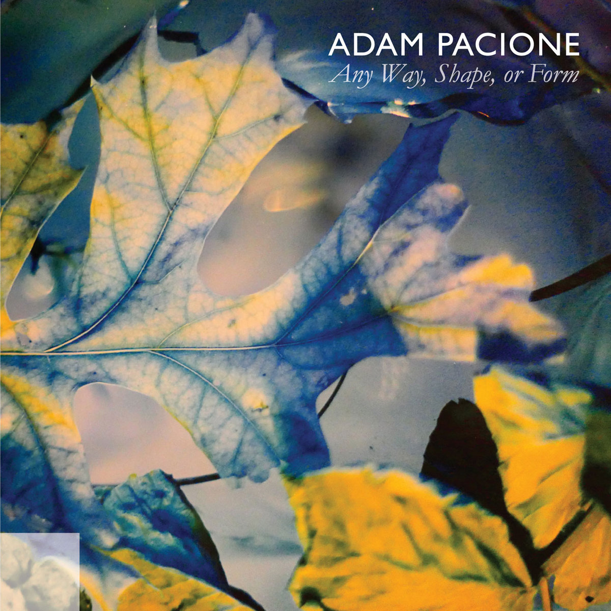 Any Way, Shape, or Form | Adam Pacione | ADAM PACIONE