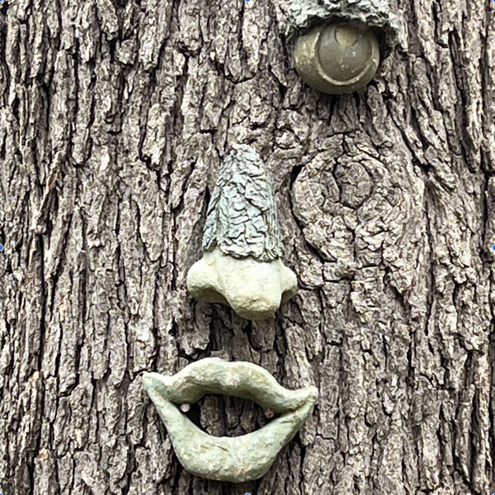 start running | Punty